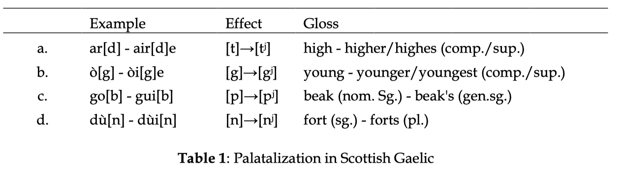 The articulation of Scottish Gaelic plain and palatalized consonants ...